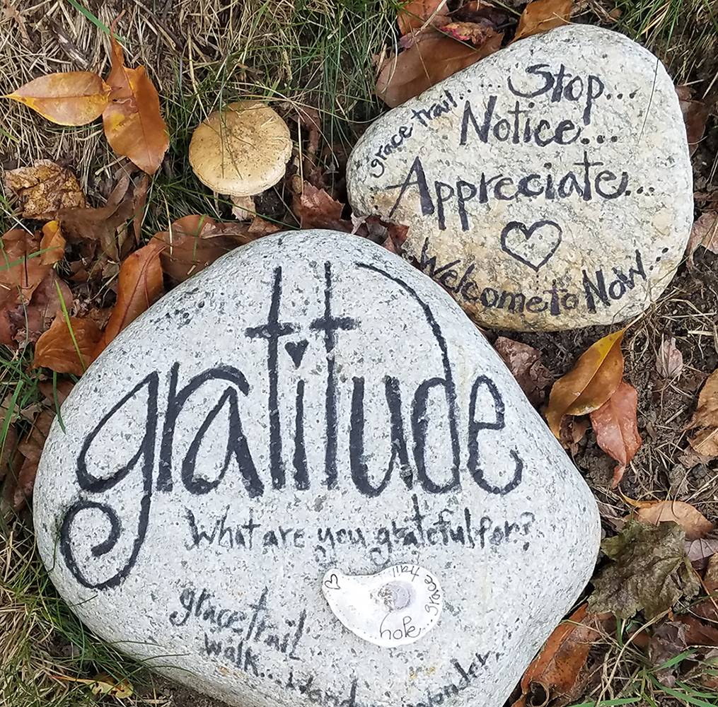 15 Tips for Creating a Collaborative Classroom This School Year ...